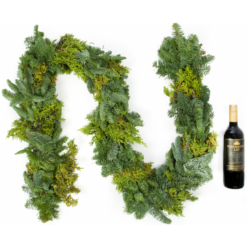 Ilex Takken bestellen? De mooiste tak met rode bes online!