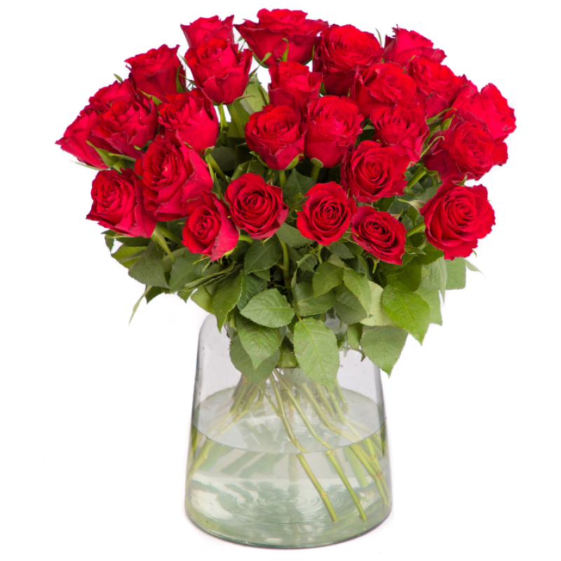 Rode rozen - De Gier Bloemen