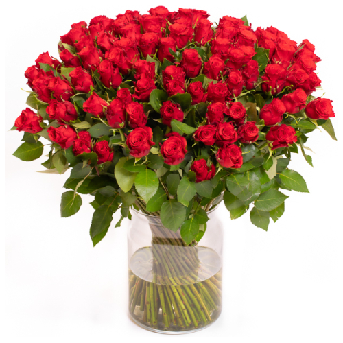 Rode rozen - De Gier Bloemen