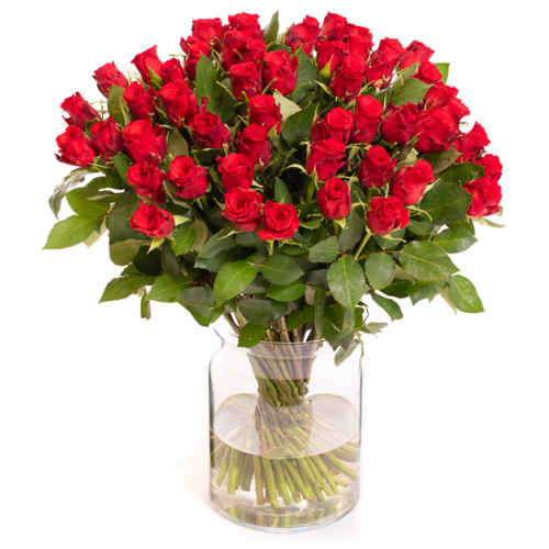 Alle rozen - De Gier Bloemen