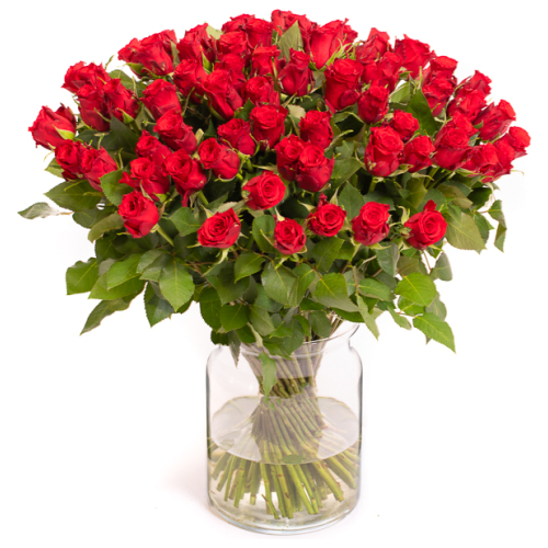 Alle rozen - De Gier Bloemen