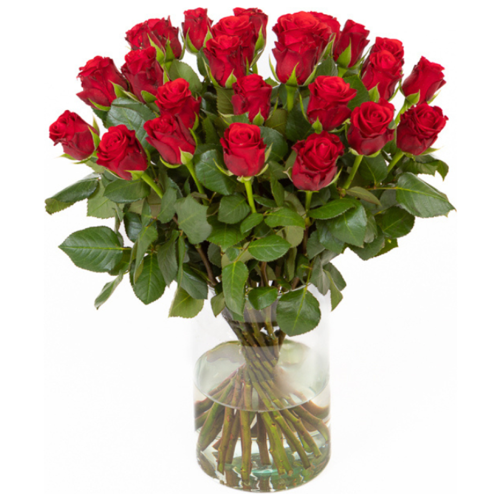 Alle rozen - De Gier Bloemen