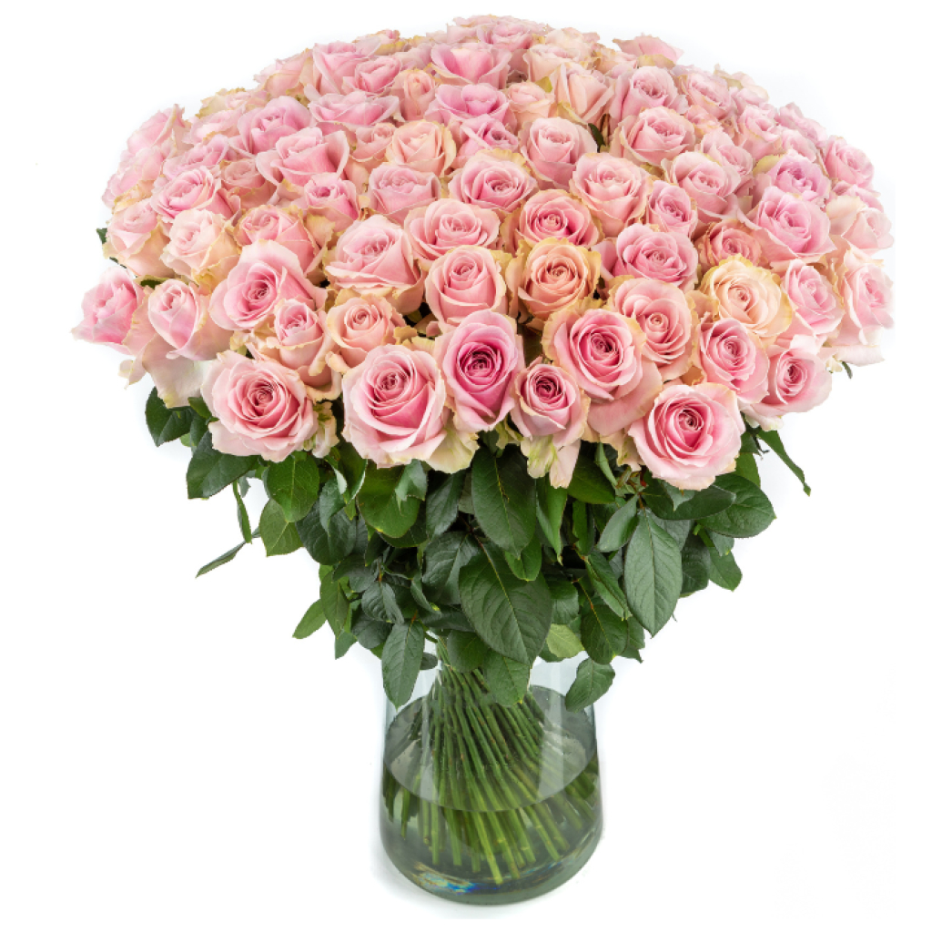 Roze rozen - De Gier Bloemen