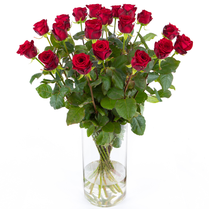 20 rode rozen bestellen? De mooiste kwaliteit rode rozen!