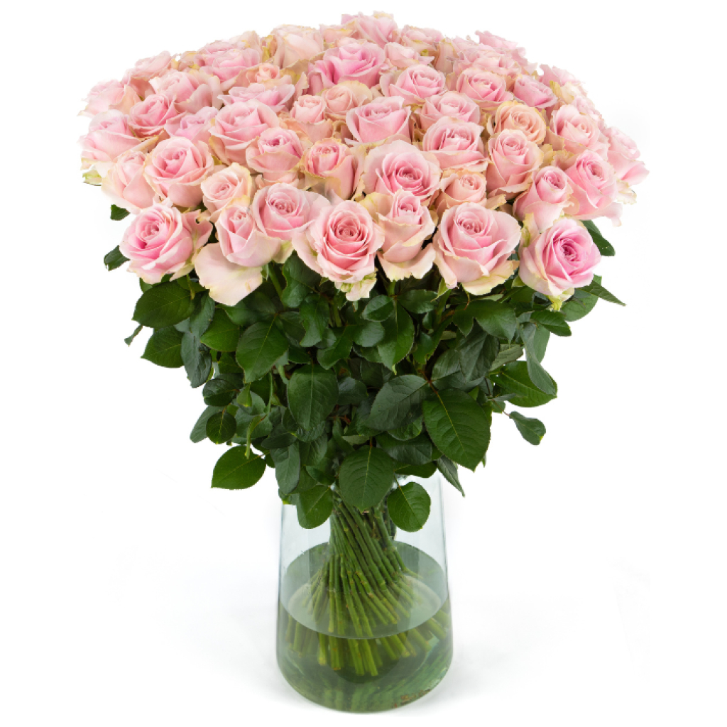Roze rozen - De Gier Bloemen