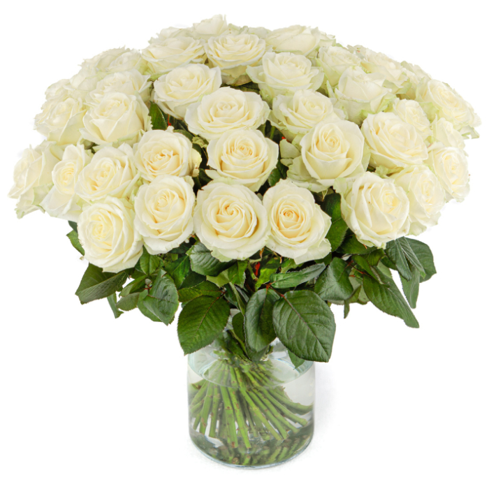 50 witte rozen bestellen? Top kwaliteit witte rozen online!