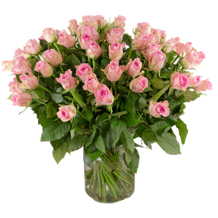 50 roze rozen bestellen doe je bij De Gier! #1 kwaliteit!