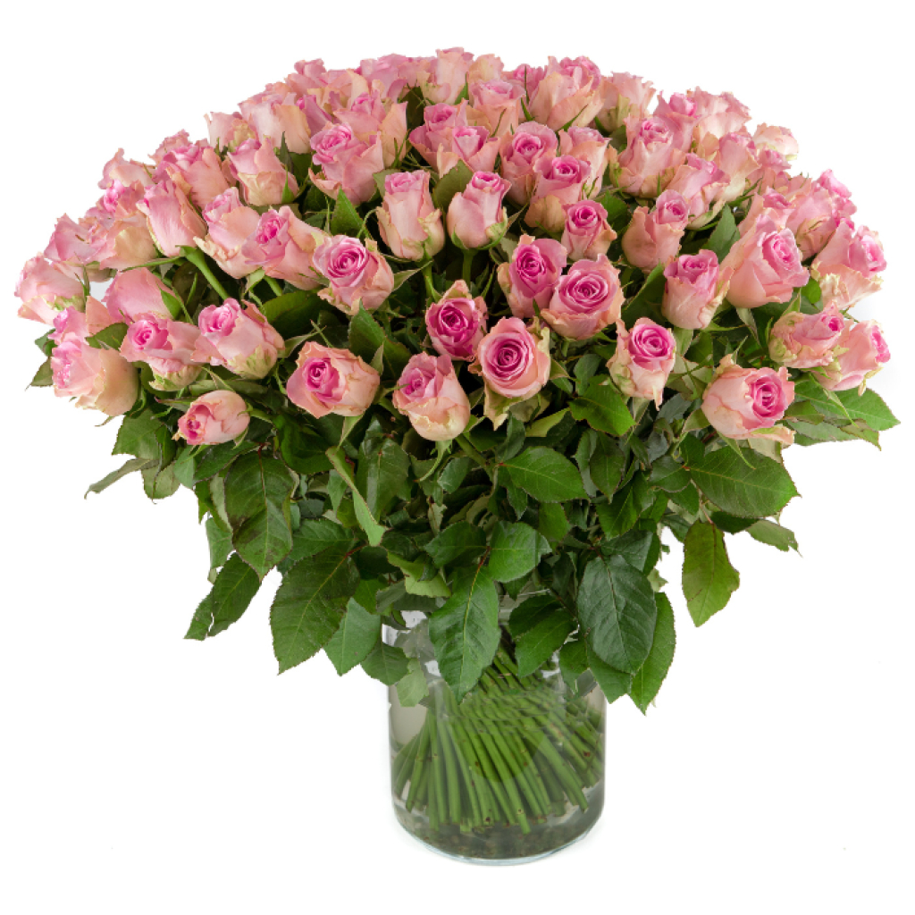 Rozen bestellen bij De Gier - De Gier Bloemen