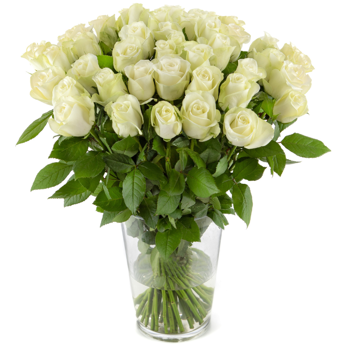 Bestel nu 50 witte rozen! Top kwaliteit witte rozen online!