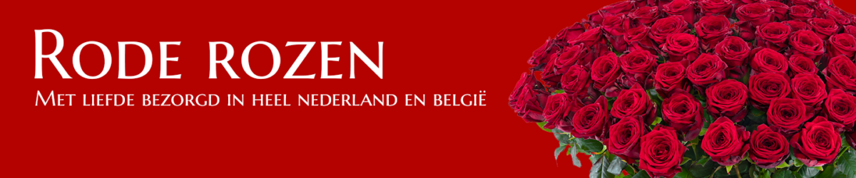 Rode rozen - De Gier Bloemen