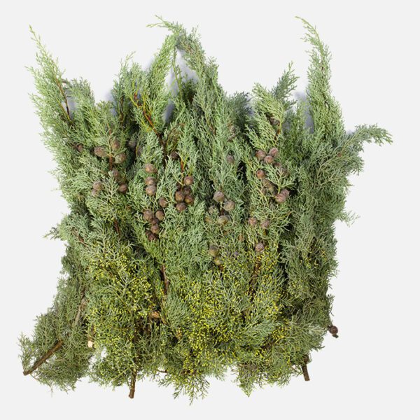 Kerstgroen kopen? Bestel het #1 verse kerstgroen makkelijk online!