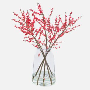 Ilex Takken bestellen? De mooiste tak met rode bes online!