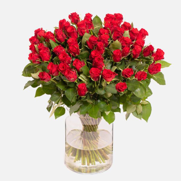 Rode rozen | Bloemen van de Gier